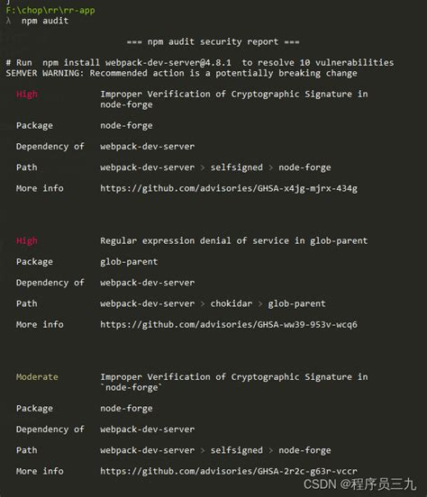漏洞报告和安全事件分析你要知道的 Npm 依赖包漏洞检测和修复小白网安指南npm 漏洞扫描 Csdn博客