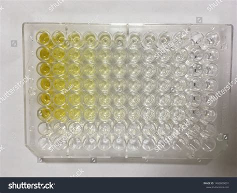 Bubbles In Elisa Plate At Amelia Bryant Blog