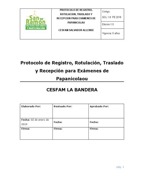 Protocolo Registro Pap Pdf Cuidado De La Salud Anatomia Sexual