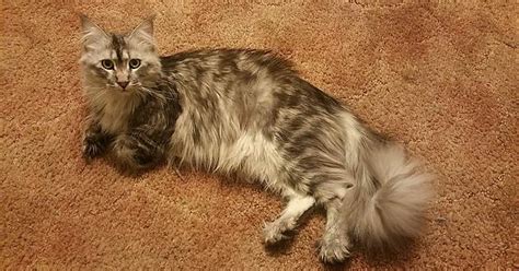 Fitty Album On Imgur