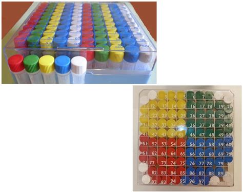 Conservación Cepas Microbianas Criobolas