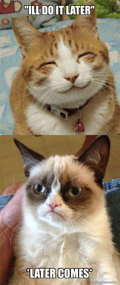 Ill Do It Later Later Comes Grumpy Cat Vs Happy Cat Meme Generator