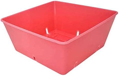 5x5 Seed Tray 80 Pack Extra Strength 5 X 5 Inserts Grow Microgreens