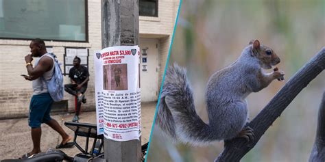 Spring The Felon Kill The Squirrel