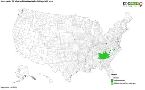 Are Giant Parachuting Joro Spiders Expected To Reach Florida