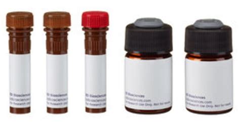 Bd Human Regulatory T Cell Sorting Kit 1 Kitantibodies Fisher Scientific