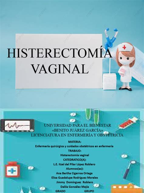 HisterectomÍa 1 Pdf Útero Vagina