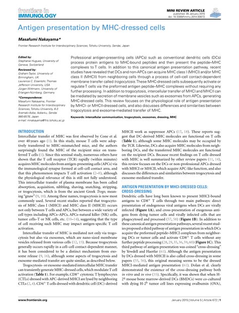 Pdf Antigen Presentation By Mhc Dressed Cells