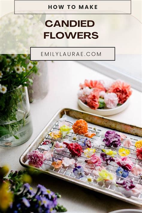 How To Make Sugared Flowers For Cakes Cocktails And Other Recipes