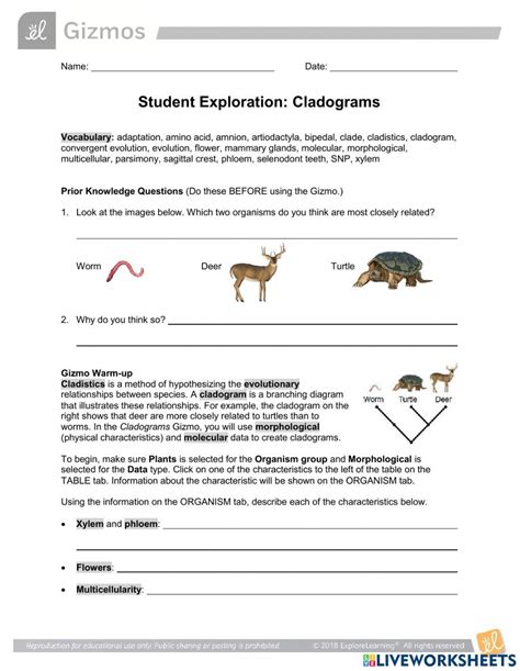 Cladogram Simulation Lab Gizmos Activity Worksheet Live Worksheets