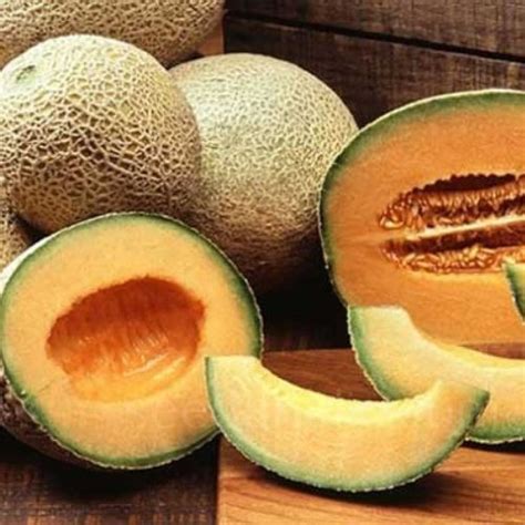 Dinja Francuska Autohtona Stara Semena