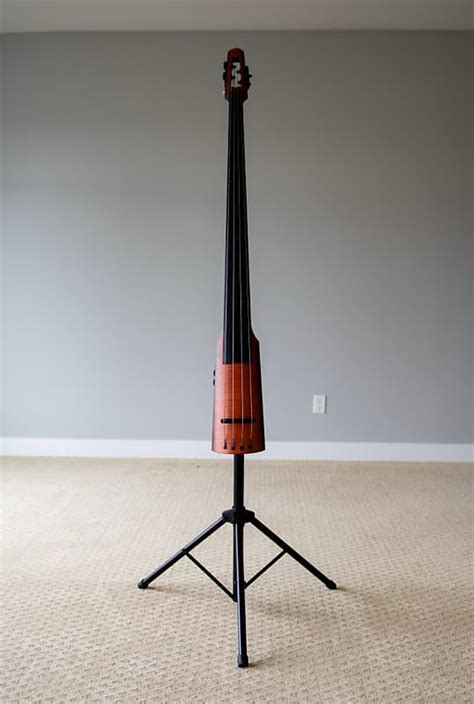 Ns Design Nxt4 Electric Stand Up Bass 2010s Reverb