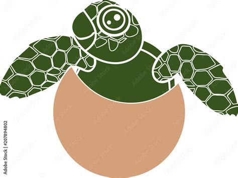 Turtle Eggs Hatching