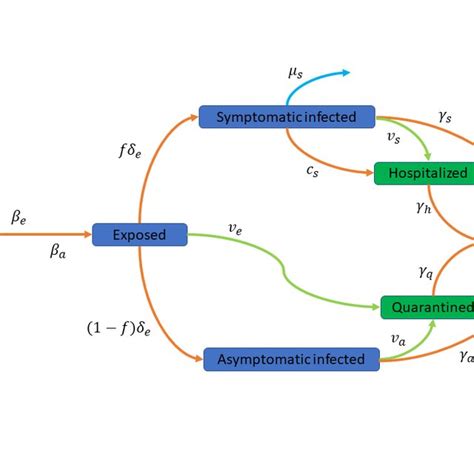 Flow Chart Of The Model Orange Arrows Represent The Infection Flow Download Scientific