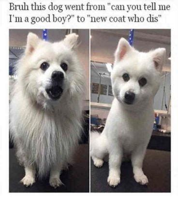 25 Funny Bruh Memes You Cant Get Enough Of