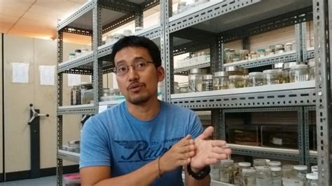 Namanya Jarilengkung Hamidy Spesies Cecak Baru Yang Ditemukan Di