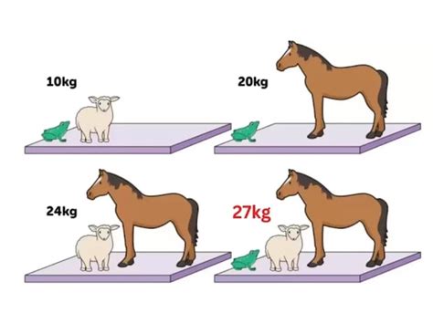Reto MatemÁtico Estimar El Peso De Cada Animal En Menos De Medio