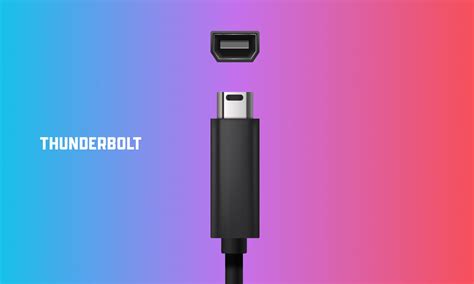 Computer Monitor Connector Types
