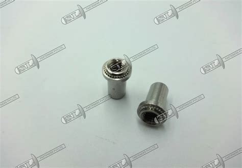 Material Stainless Steel Self Clinching Blind Fasteners At Best Price