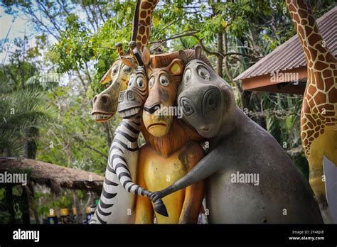 Silly Lion Madagascar