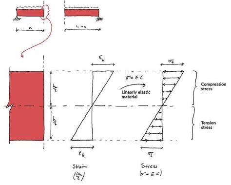 Understanding Shear Force Diagrams Examples And Analysis