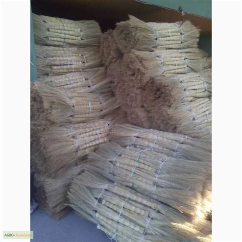 Продам веники сорго — Agro-Uzbekistan
