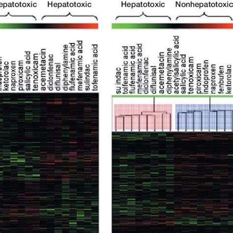 Hierarchical Clustering Using Different Probes Between Nonhepatotoxic