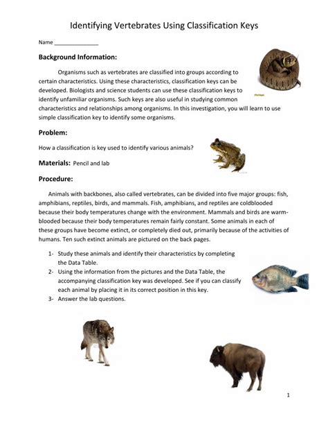 pdf identifying vertebrates using classification keys dokumen tips