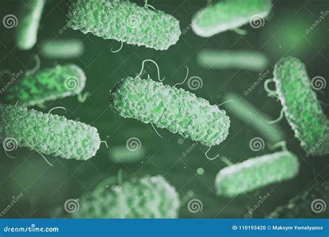 Escherichia Coli Infographics Vector Illustration On Isolated