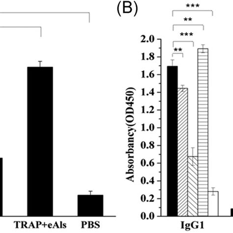 Detection Of Antibodies In Serum A B The Level Of Igg Antibodies Download Scientific