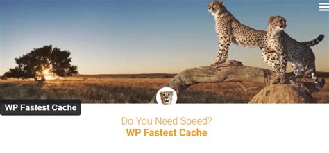 Best WordPress Cache Plugins Compared Features And Pricing Crocoblock