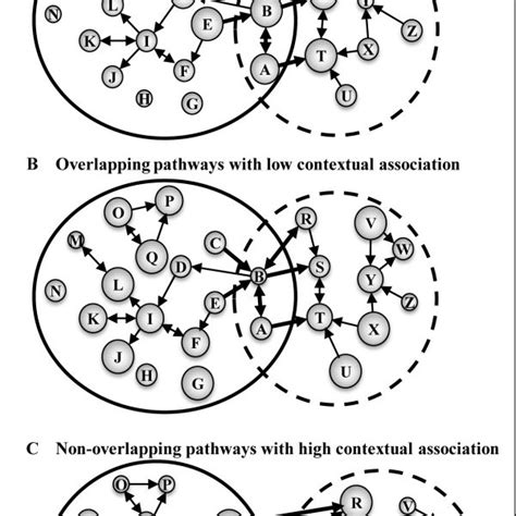 schematic representation of pathnet analysis the direct evidence download scientific diagram