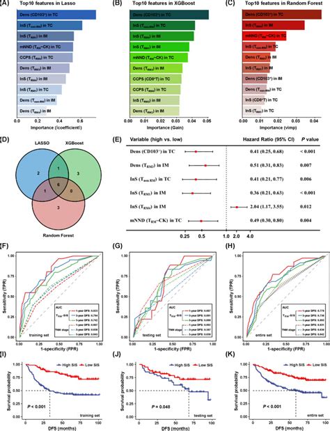 Spatial Features Of Specific Cd103cd8 Tissue Resident Memory T Cell