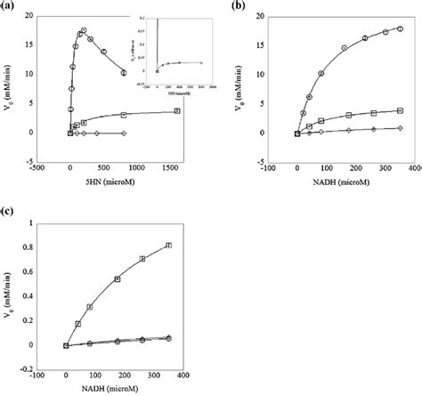 Effects Of Substrate Concentrations On The Ring Opening Reaction And