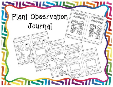 Plant Observation Journal By Luv 2 Teach K Tpt