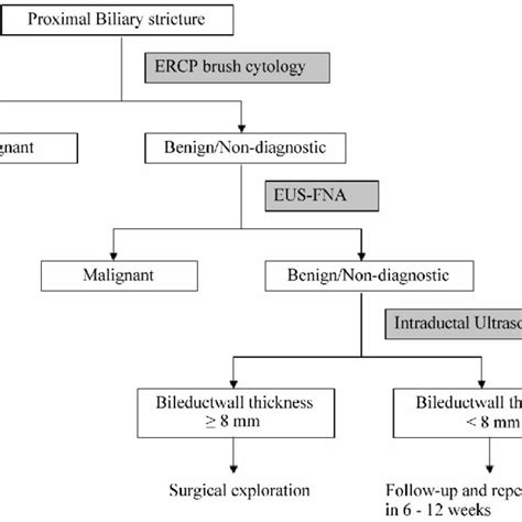 Suggested Algorithm For Endoscopic Evaluation Of Patients With