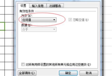 Excel 版如何设置数据有效性 新知
