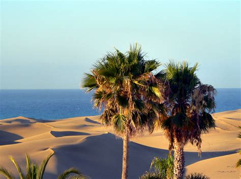 Oase Foto & Bild | on the road, on the ocean, dünen Bilder auf ...
