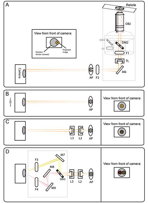 Simultaneous Multicolor Imaging Of Biological Structures With
