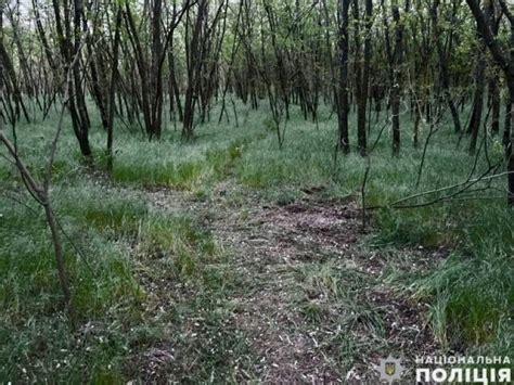 Мешканець Миколаєва зґвалтував 19 річну дівчину яка вийшла на пробіжку