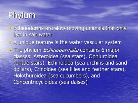 Ppt Echinodermata Powerpoint Presentation Free Download Id832413