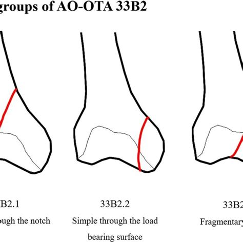 Subgroup Of Ao Ota Classification 33b2 Download Scientific Diagram