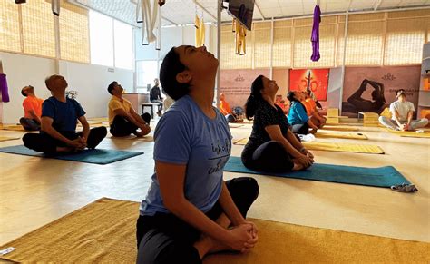 Yoga Teacher And Evaluator 800hrs Sivapta
