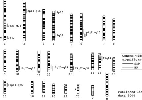 Paranoid Schizophrenia Hereditary