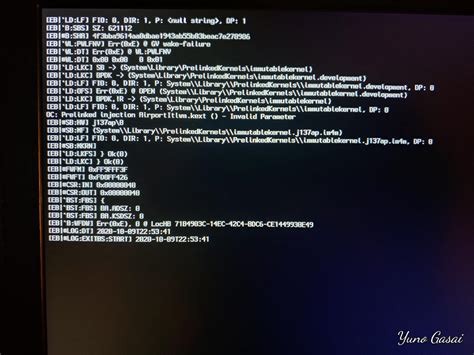 i m trying to install catalina using opencore i ve been trying to