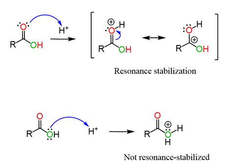 Fischer Esterification Chemistry Steps