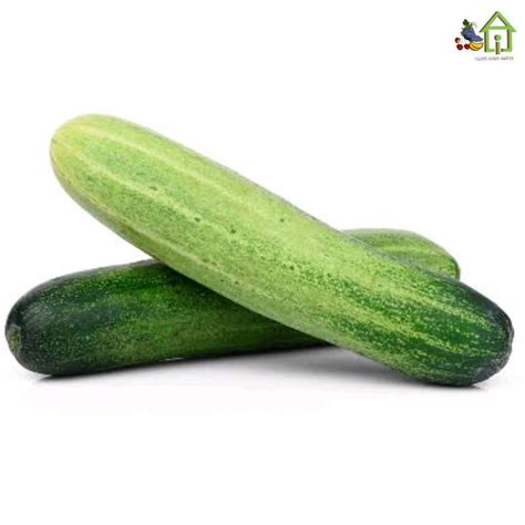 Jual Timun Timun Kecil Timun Lalap Halal Di Seller Lestari Mart Fruit Jaka Sampurna Kota