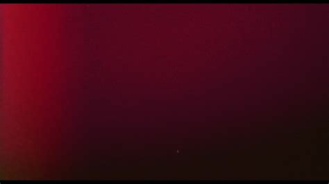 Mimi Schultz Posted On Linkedin