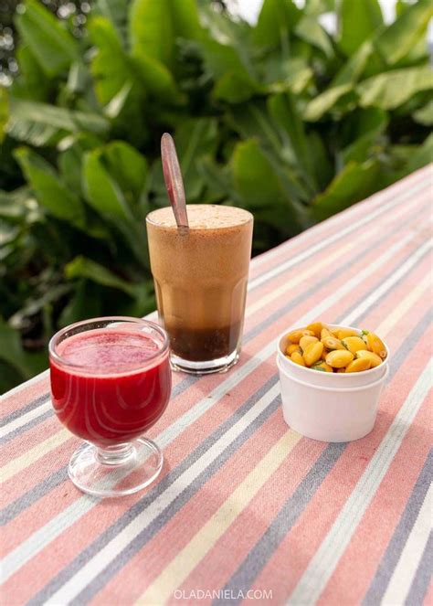 8 Best Poncha Bars On Madeira Island Olá Daniela