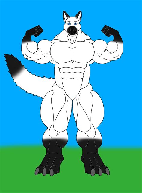 Furry Muscle By Tom766 On Deviantart